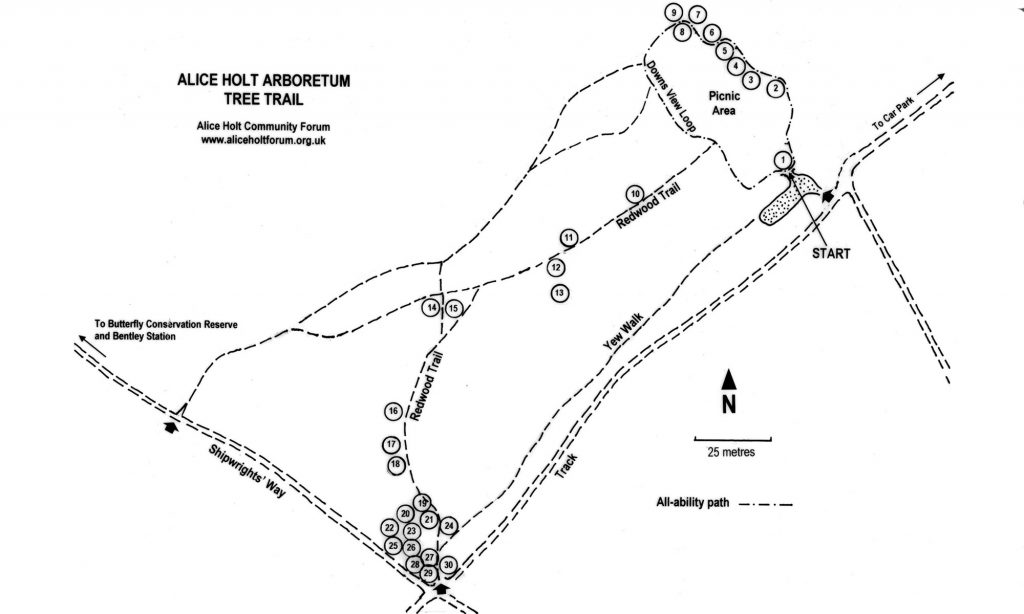 Follow the Tree Trail - Alice Holt Community Forum